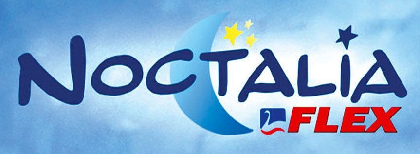 noctalia